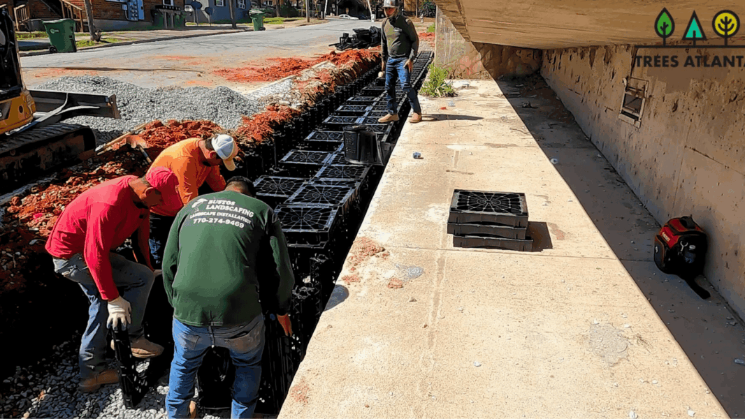 How to Plant Street Trees Around Utilities Without Damage - GreenBlue Urban