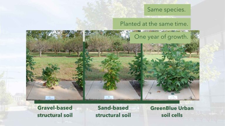 Are You Specifying Soil Cells and Structural Soil as Equal Alternatives ...